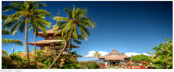 Découvrir Hawaii, une destination loin des clichés touristiques - 38000 Km