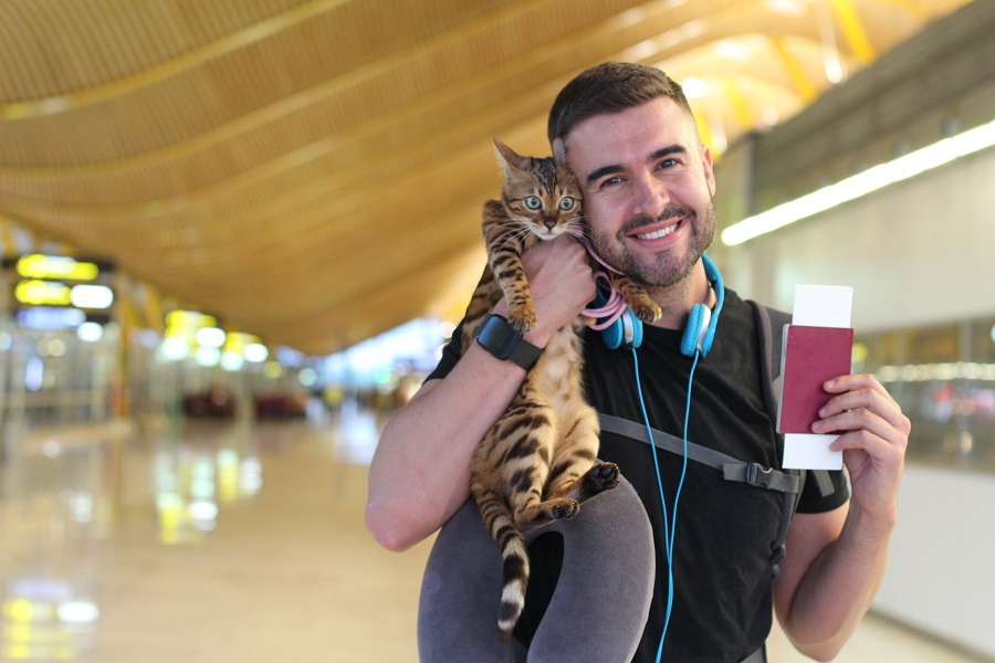 Peut-on partir en vacances avec son chat